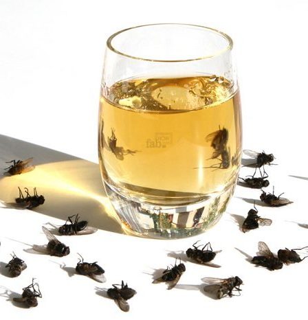 How to Get Rid of Flies Quickly (Inside and Outside) – Tipy Pro Zdravi
