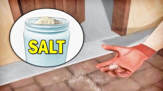 Spreading Salt Around The House – Here’s Why It’s So Incredible! – Tipy ...