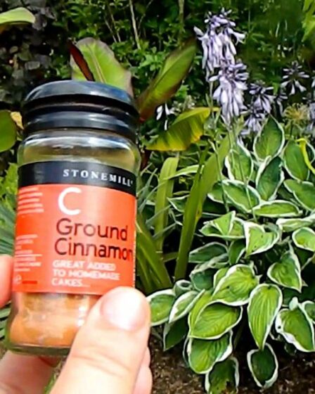 10 Amazing Uses Of Cinnamon In The Garden – Tipy Pro Zdravi
