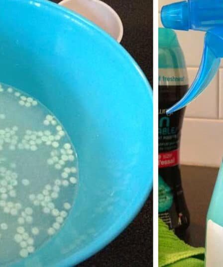 This Mixture That Will Make Your Home Smell so Wonderful… Your ...